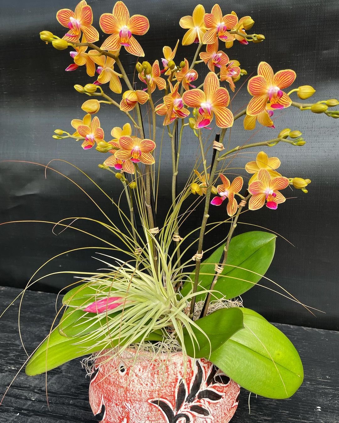 7 Easy-To-Grow Orchids For Beginners