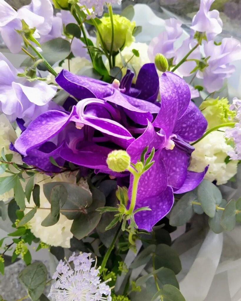 The Fascinating History Of Purple Orchids